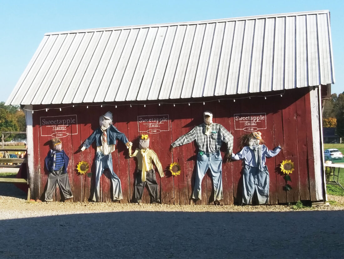 It’s a Country Living: Sweetapple Farm enjoying fruits of another ...